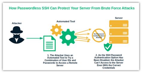 How To Set Up SSH Without A Password In Linux InfoSec Insights