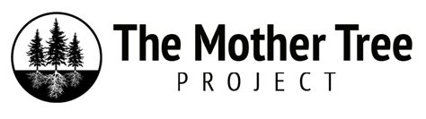 About Mother Trees In The Forest The Mother Tree Project