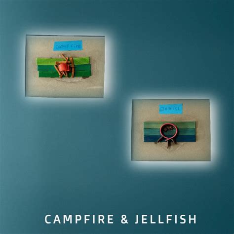 Campfire And Jellfish Campfire And Jellfish Massive Annie