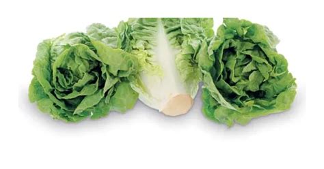 Mini Lattich Spar Ab 05 06 2018 Aktionis Ch