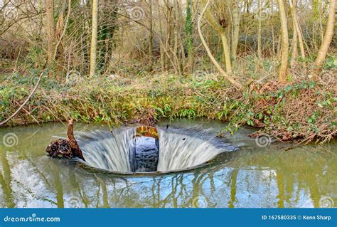 Down The Hidden Plughole In The Woodland Stream Stock Image Image Of