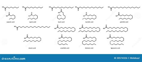 Behenic Acid Docosanoic Acid Saturated Fatty Acid Molecule Skeletal