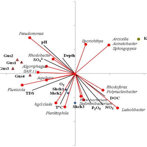 Canonical Corresponding Analysis Cca Showing The Relationships