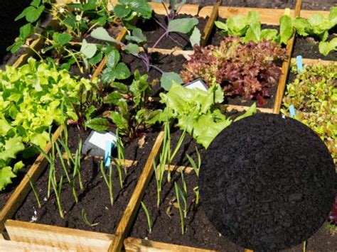 Using Biochar As A Soil Amendment The Imperfectly Happy Home
