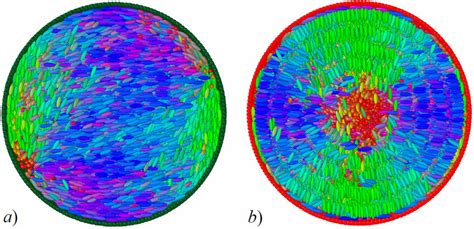 Snapshot Cross Sections Of Lc Droplets Mesogen Colors Denote Molecular