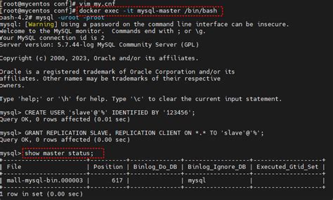 第九节 使用docker搭建mysql主从复制读写分离 参码踪