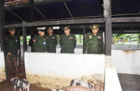 ဒေသတွင်းစိုက်ပျိုး၊ မွေးမြူရေးနှင့် ကုန်ထုတ်လုပ်မှုလုပ်ငန်းများ ရာနှုန