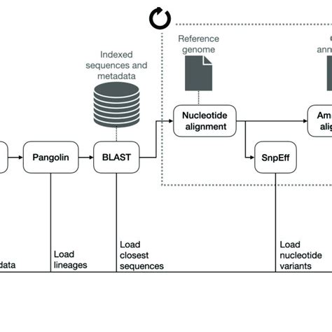 Consensus Sequence Analysis Pipeline Download Scientific Diagram