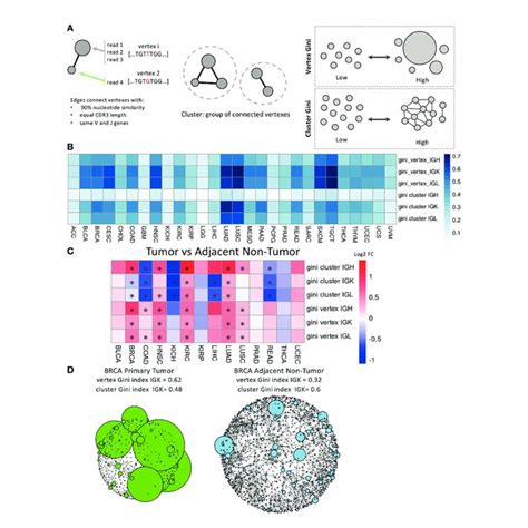 Network Analysis Across Tumor Types And Between Tumor And Adjacent