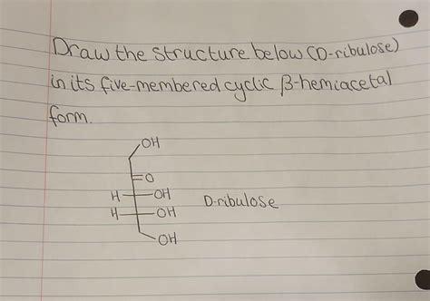 Solved Draw The Structure Below D Ribulose In Its Five
