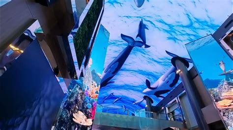 인천 영종도 인스파이어 리조트 아레나 고래 공연 Youtube