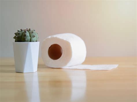 Expert Hemorrhoid Treatment Gastrodoxs