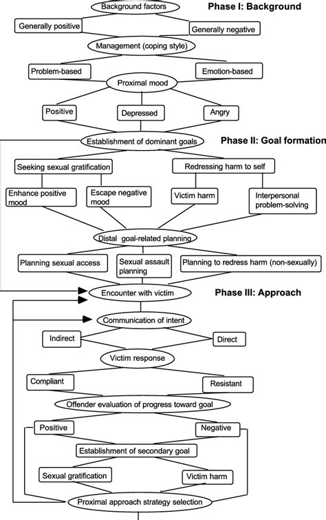 Summary Of Preliminary Descriptive Model Of Rapists Offence Processes