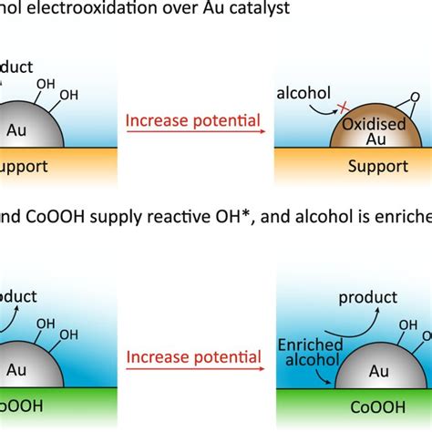 Schematic Illustration Of The Aor Process A Traditional Aor Process