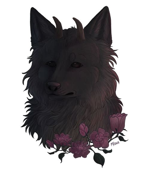 Fallax Numoori Wiki Fandom