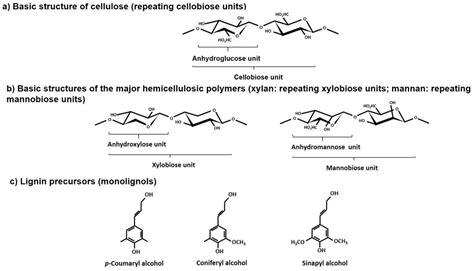 Advances On Cellulose Manufacture In Biphasic Reaction Media
