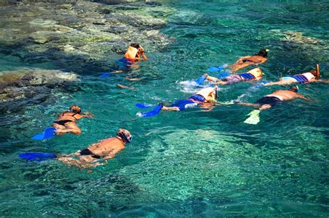 Flamingo Snorkeling Catalinas Islands Natives Way Costa Rica