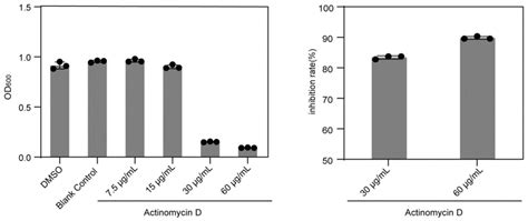 放线菌素d在防治丁香假单胞菌病害中的应用