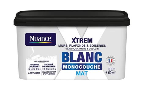 Peint Mono Mp Blc Mat 5l Bricomarché
