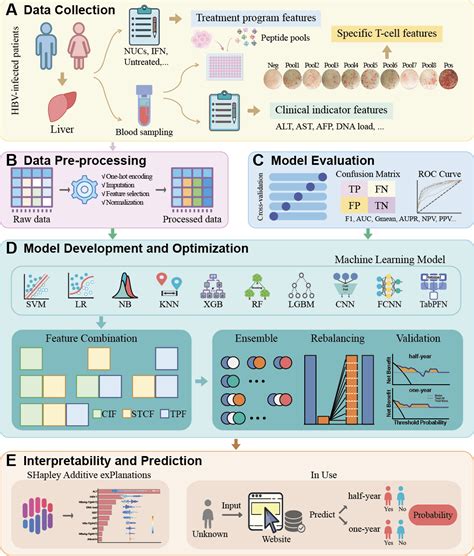 Github Mizzlefenghepatitis Progression Prediction Ml This