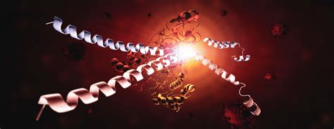 Our Immune System Is No Match Coronavirus Protein Caught Severing