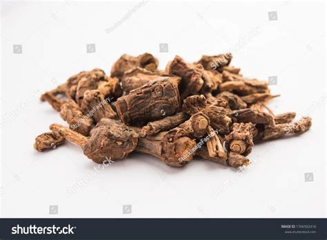 Sarsaparilla Roots At ₹ 600 Kg Hemidesmus Indicus Root In Chittoor Id 2850260997497
