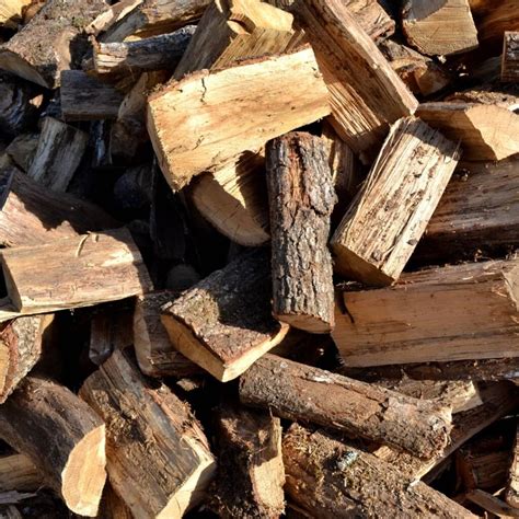 ¿qué Es El Carbón Vegetal Carbotecnia