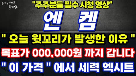 엔켐 주가분석 오늘 윗꼬리가 발생한 이유 목표가 000000원 까지 무조건 갑니다 이 가격에서 세력 엑시트