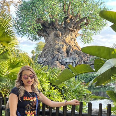 Stream Lizbeth Olvera Rivera Music Listen To Songs Albums Playlists For Free On Soundcloud