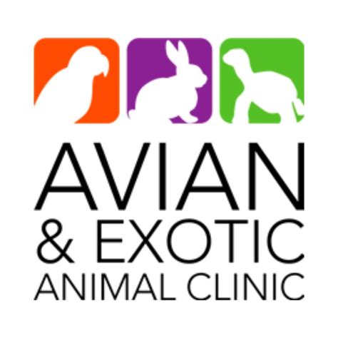 Businesses We Endorse Pet2vets