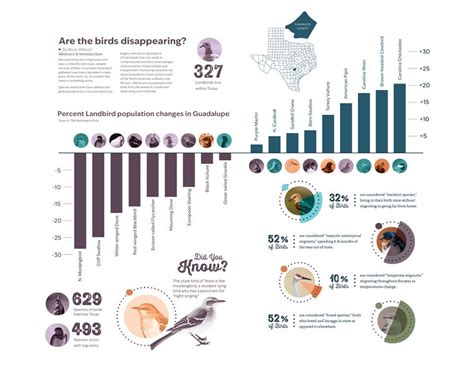 Editorial Infographics Bridging The Gap Between Complexity And Clarity