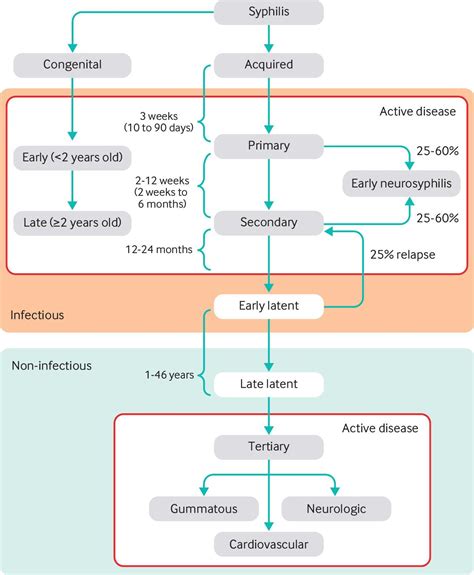 Syphilis Timeline Of Symptoms
