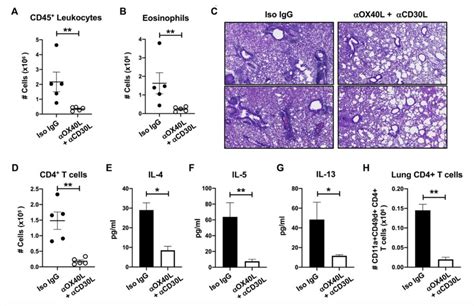 Hot Immunotherapy Target Ox40 Assay Matrix