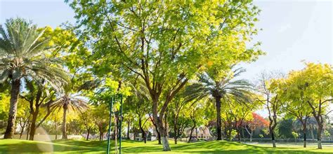 Deema 1 A Luxurious Residential Community In The Lakes Dubai Arab Mls