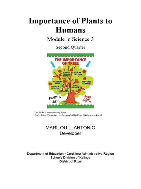 Sc3 Q2 Impt Of Plants To Humans By Marilou Antonio Pdf Trees Plants