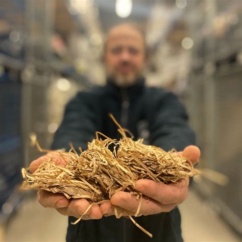 As A Researcher You Are Always Looking For Ways To Improve The Well Being Of Your Mice And