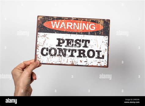Pest Control Warning Sign With Text In Woman Hand White Background