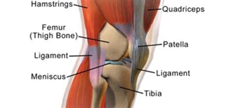 Subluxation Knee