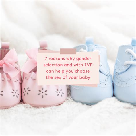 Ivf And Gender Selection With Fertility Treatment Everything You Need