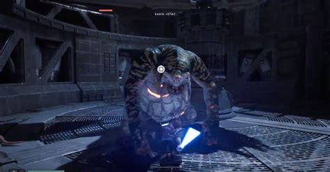 How To Defeat Rabid Jotaz In Star Wars Jedi Fallen Order Zeffo The