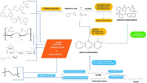 Possible Flow Of Chemical Decomposition Of Polyethylene Lignin