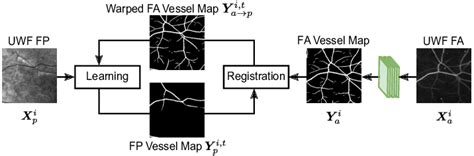 proposed iterative registration and learning approach for retinal