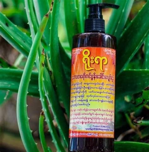 ရိုးရာ သဘာဝ တရော်ကင်ပွန်း ခေါင်းလျော်ရည်natural Product Of Myanmar