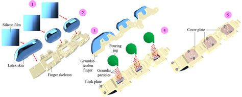 Step By Step Fabrication Process For A Granular Tendon Finger 1 Step Download Scientific