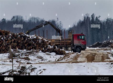 Forestry Industry Timber Yard Operations For Loading Unloading Logging Truck With Roundwood