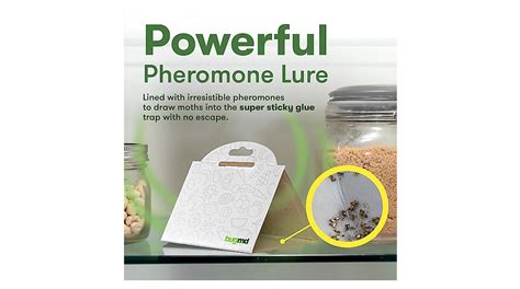 Bugmd Pantry Pest Traps Effective Moth Killer For Kitchen