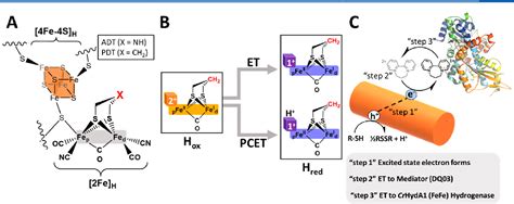 Figure 1 From Time Resolved Infrared Spectroscopy Reveals The Ph Independence Of The First