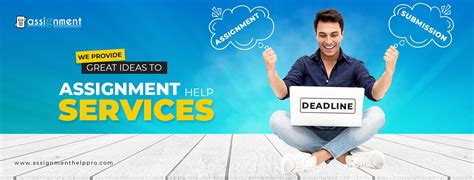 Assignment Help Pro New York Ny