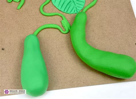 丝瓜藤 高清图片，堆糖，美图壁纸兴趣社区