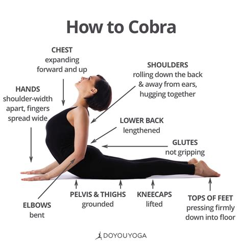 Cobra Pose Asana Yoga For Strength And Health From Within